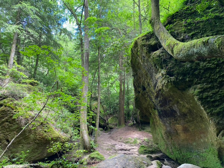 Glowworms, Witches Cavern and Phantom Falls: Alabama’s Secret Place ...